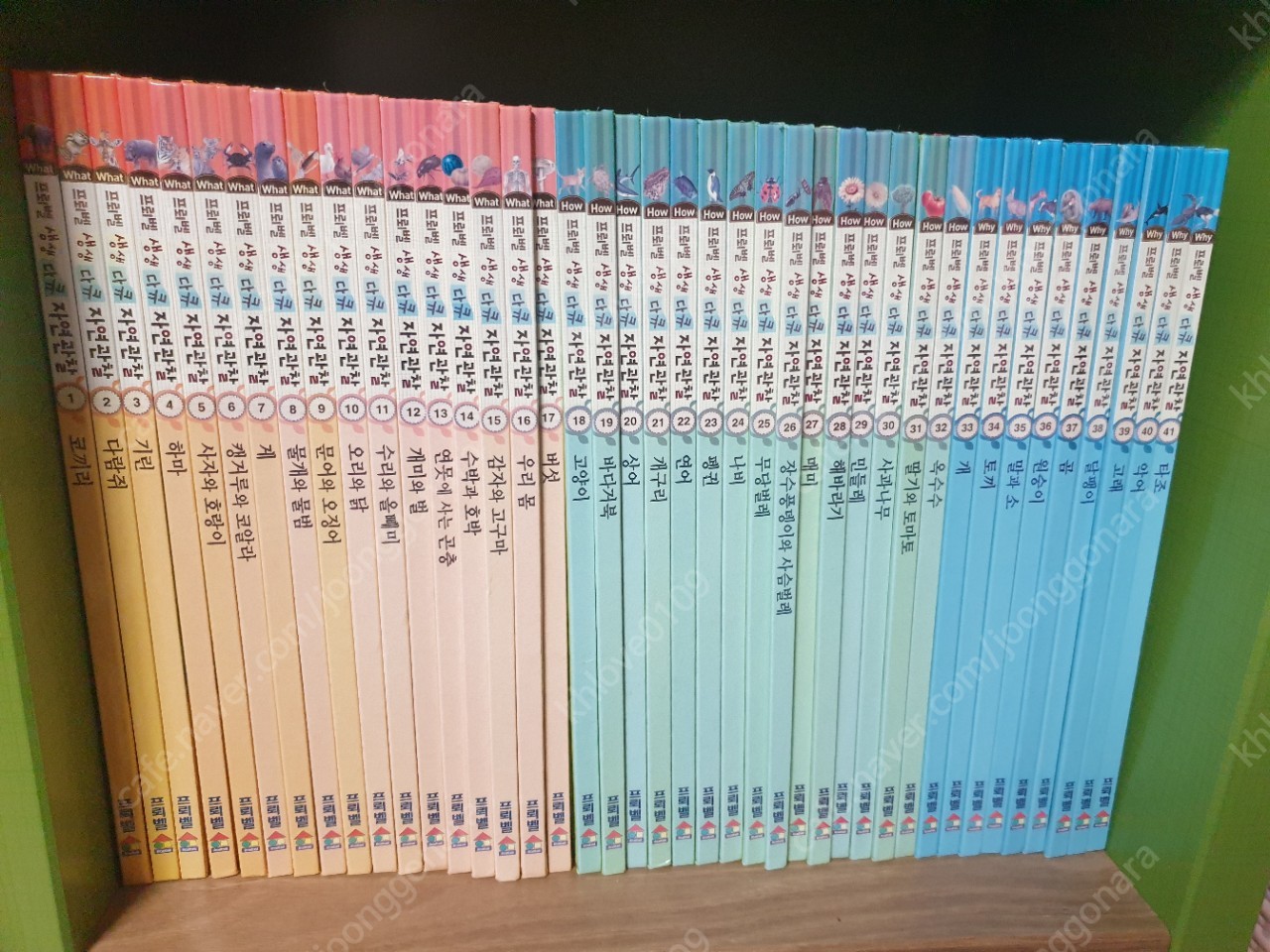 프뢰벨자연관찰 50권 전권부모지침서cd2장dvd6 유아동도서음반 중고나라